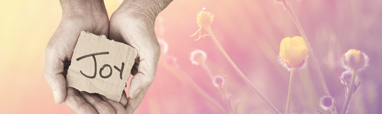 Live a Fulfilling Life: Find Simple Joy - LifeSoldier Living